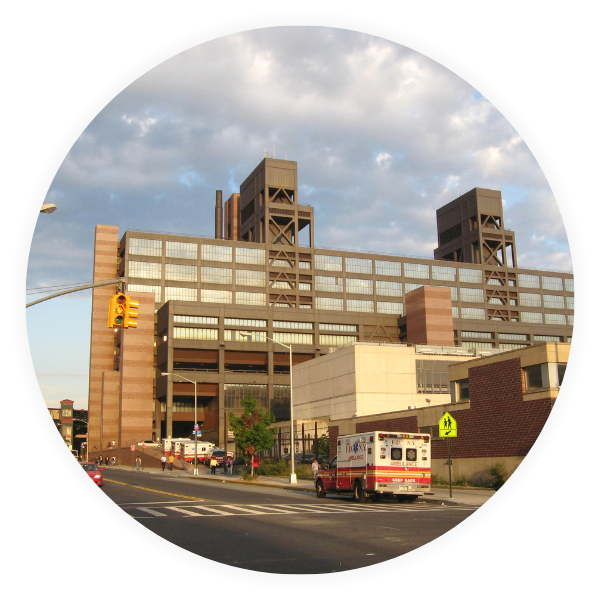 Stellar Services | 30 years of IT solutions